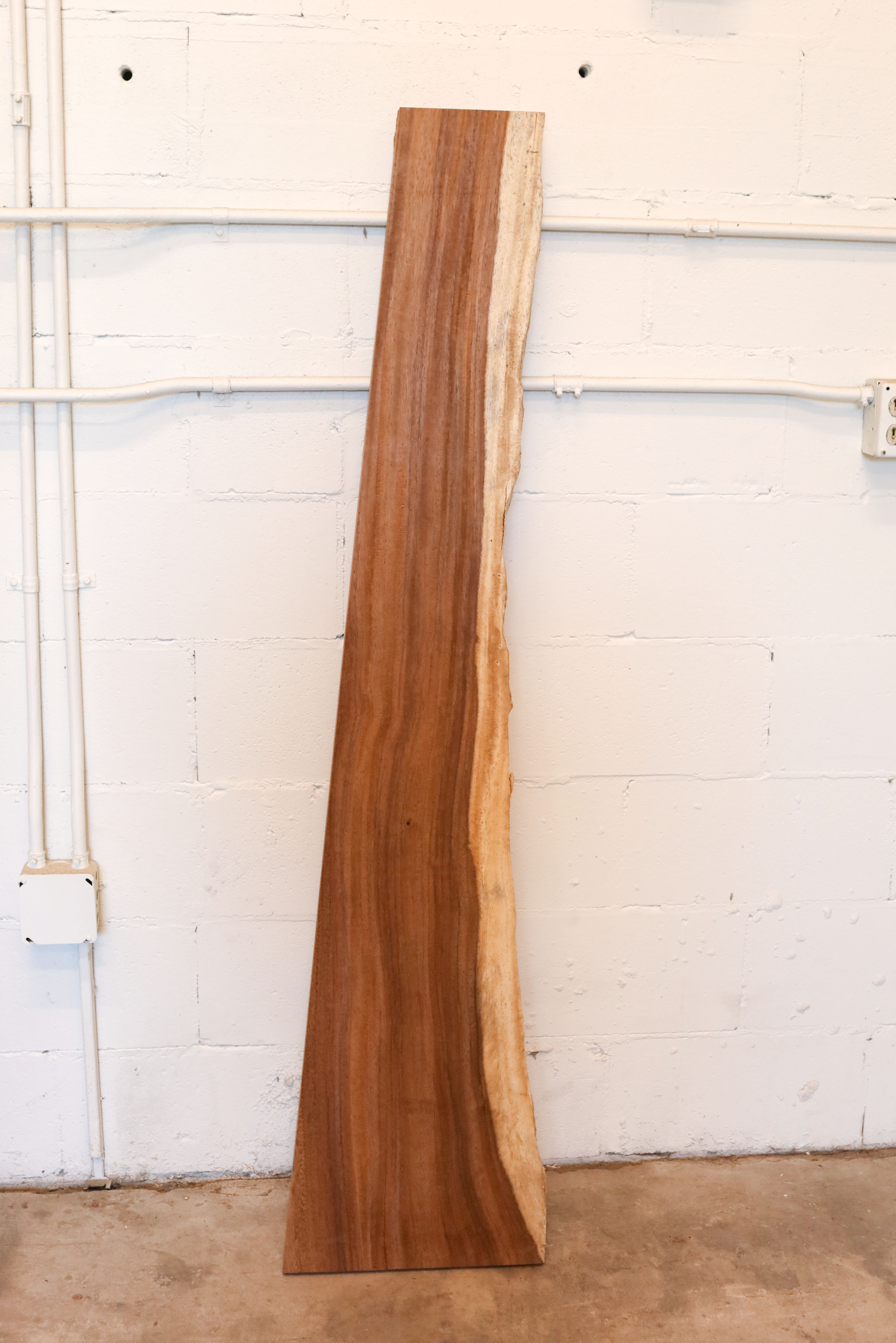 Guanacaste Slab G993-2 - Tropical American Timber