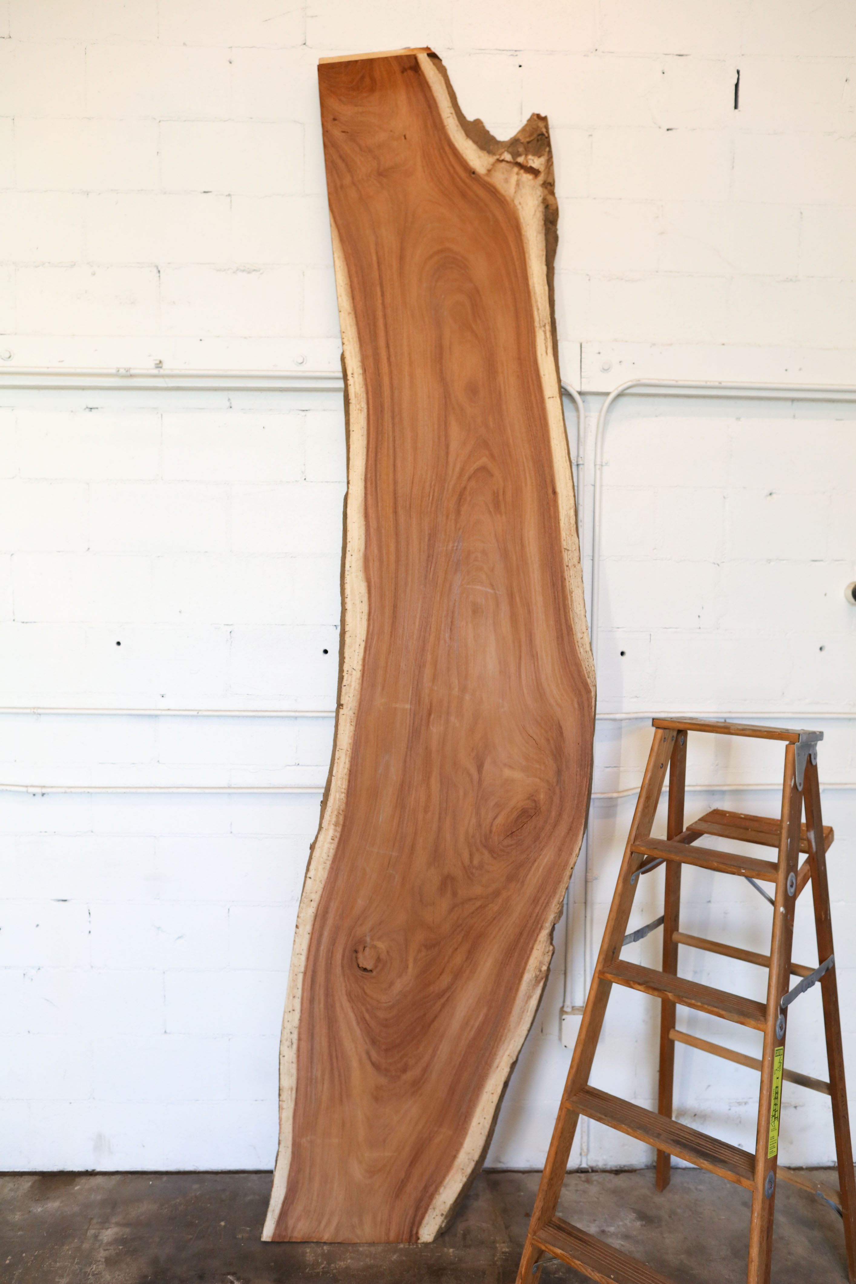 Parota Slab #G111 (122 x 26 x 1.75 inches) - Tropical American Timber