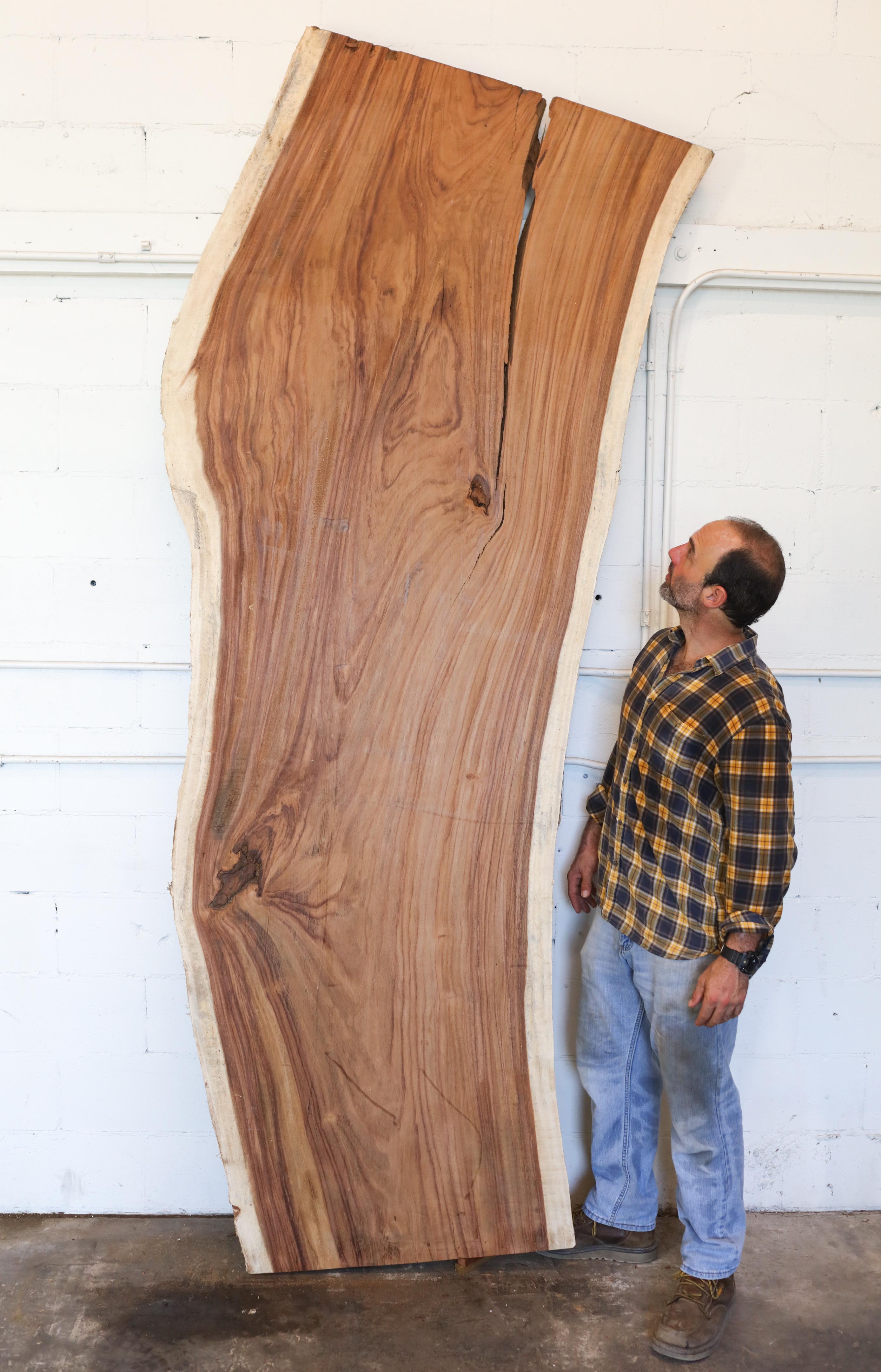 Parota Slab #G1999 (108 x 36 x 2.25 inches) - Tropical American Timber