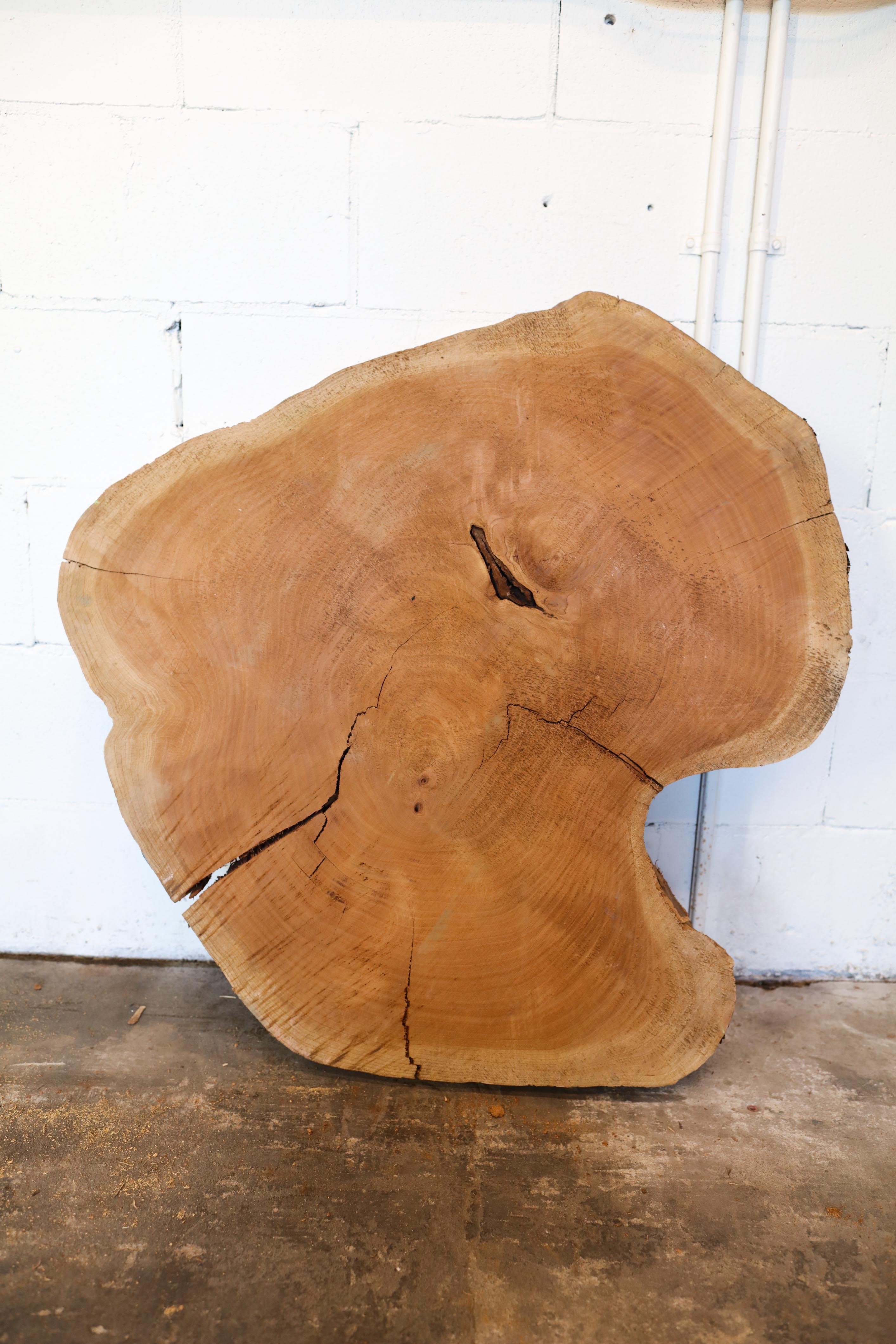 Spanish Cedar #SC242 (34 x 32 x 2.75 inches) - Tropical American Timber