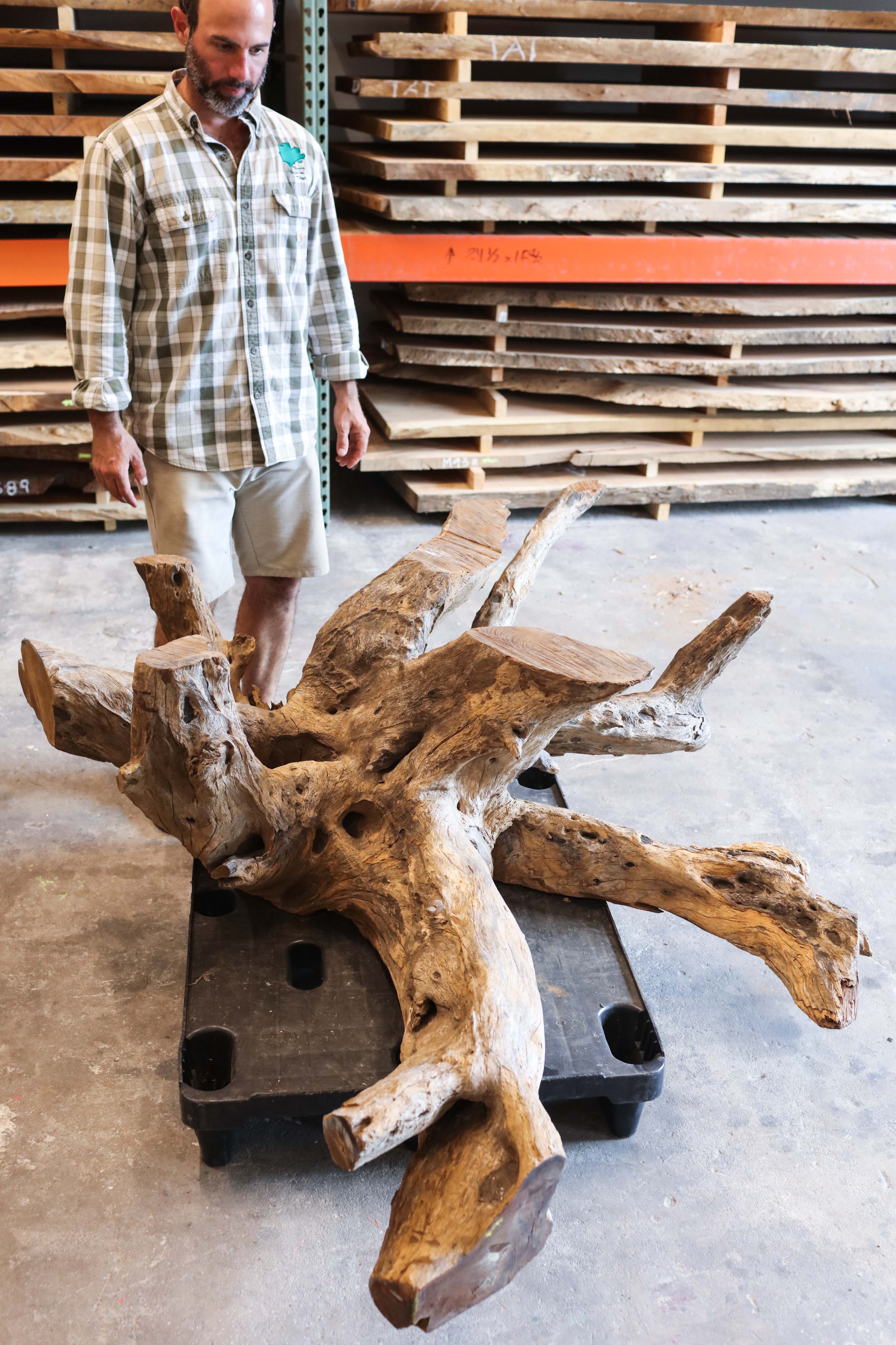 Root Ball Table Base - 65 x 56 x 22 inches - Tropical American Timber